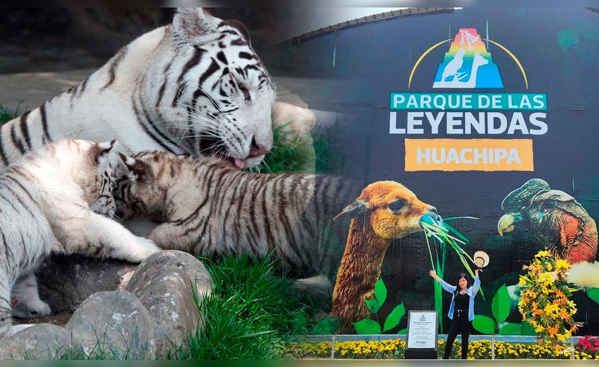 Parque de las Leyendas de Huachipa: COMPRA AQUÍ entradas por INTERNET para el único zoológico de ...