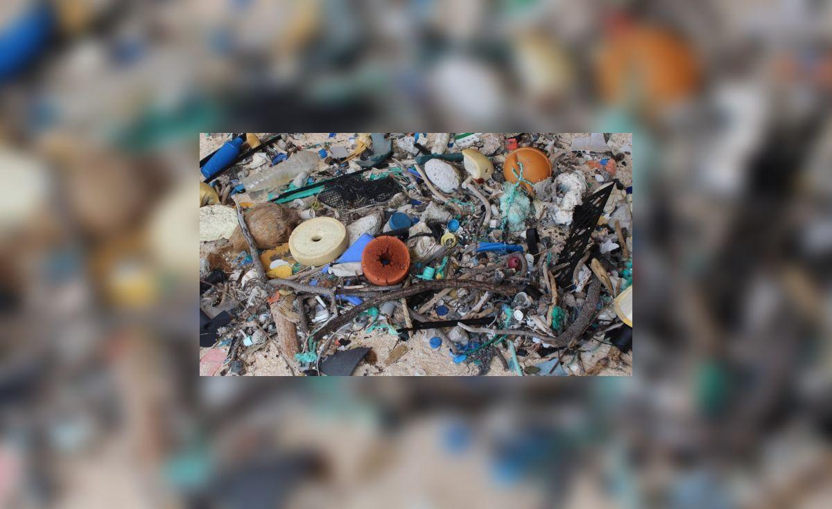 La playa más contaminada del mundo está en una isla deshabitada del ...