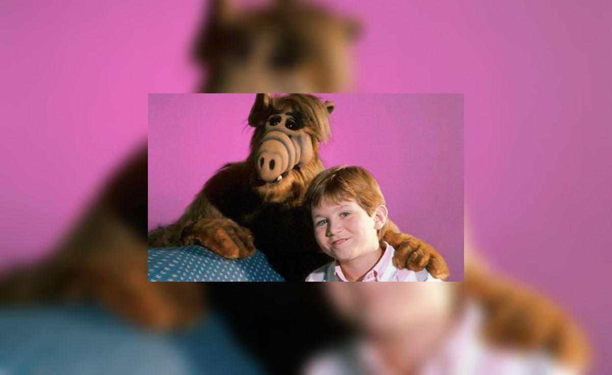 Mira cómo luce Brian Tanner de Alf tras 31 años de su aparición en la ...