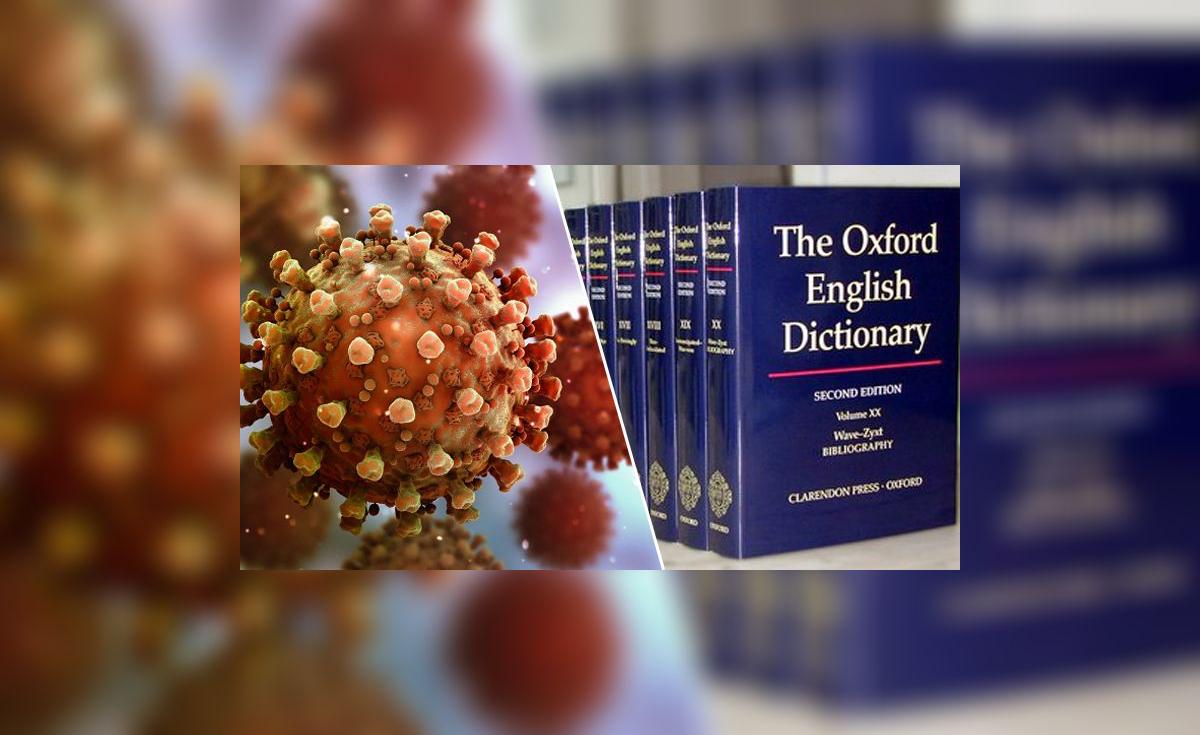 COVID-19 términos: Diccionario Oxford lanza nueva edición con palabras ...