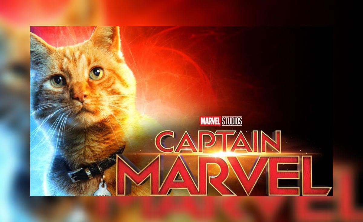Capitana Marvel: ¿Quién es Goose? Origen e historia del gato de Carol ...