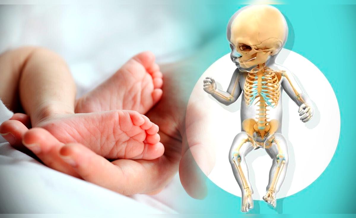Cuantos huesos tiene un bebe | Por que tienen mas huesos que los ...
