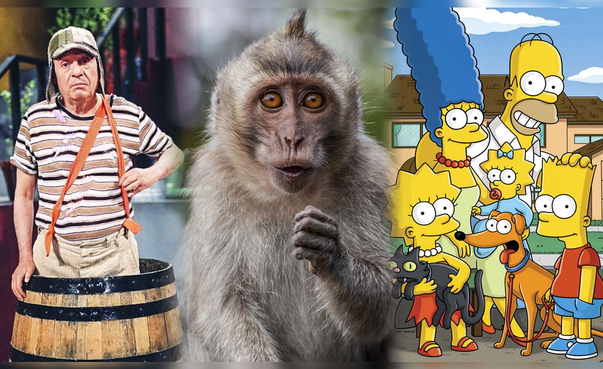 Matanga dijo la Changa: el oscuro origen de la frase que replicó El ...