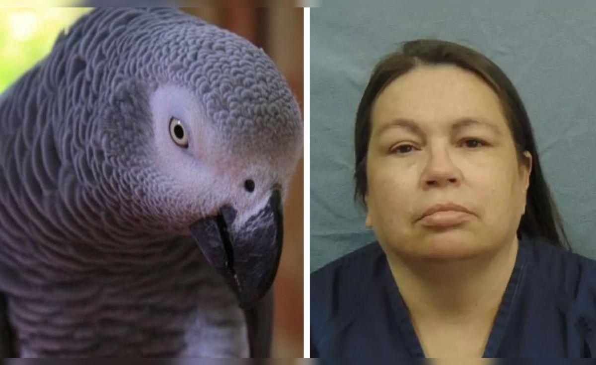 Glenna Duran, la mujer que recibió cadena perpetua luego de que un loro ...