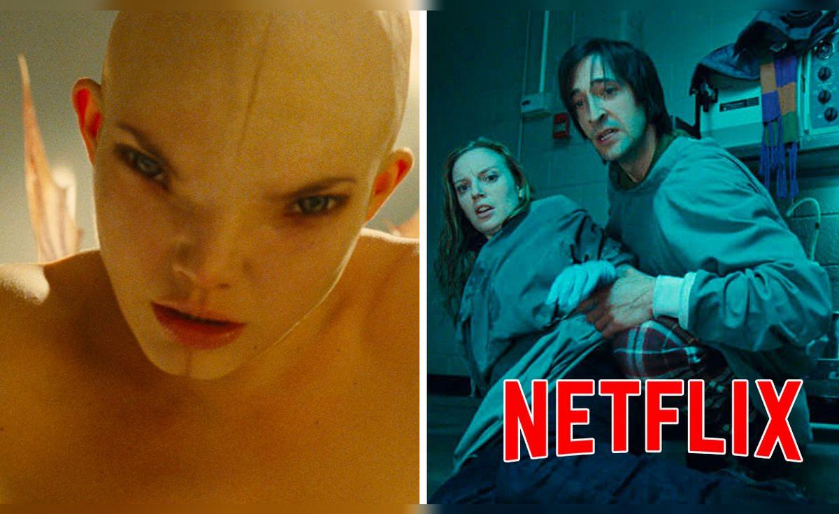 Netflix, Splice experimento mortal: ¿de qué trata la película que está ...