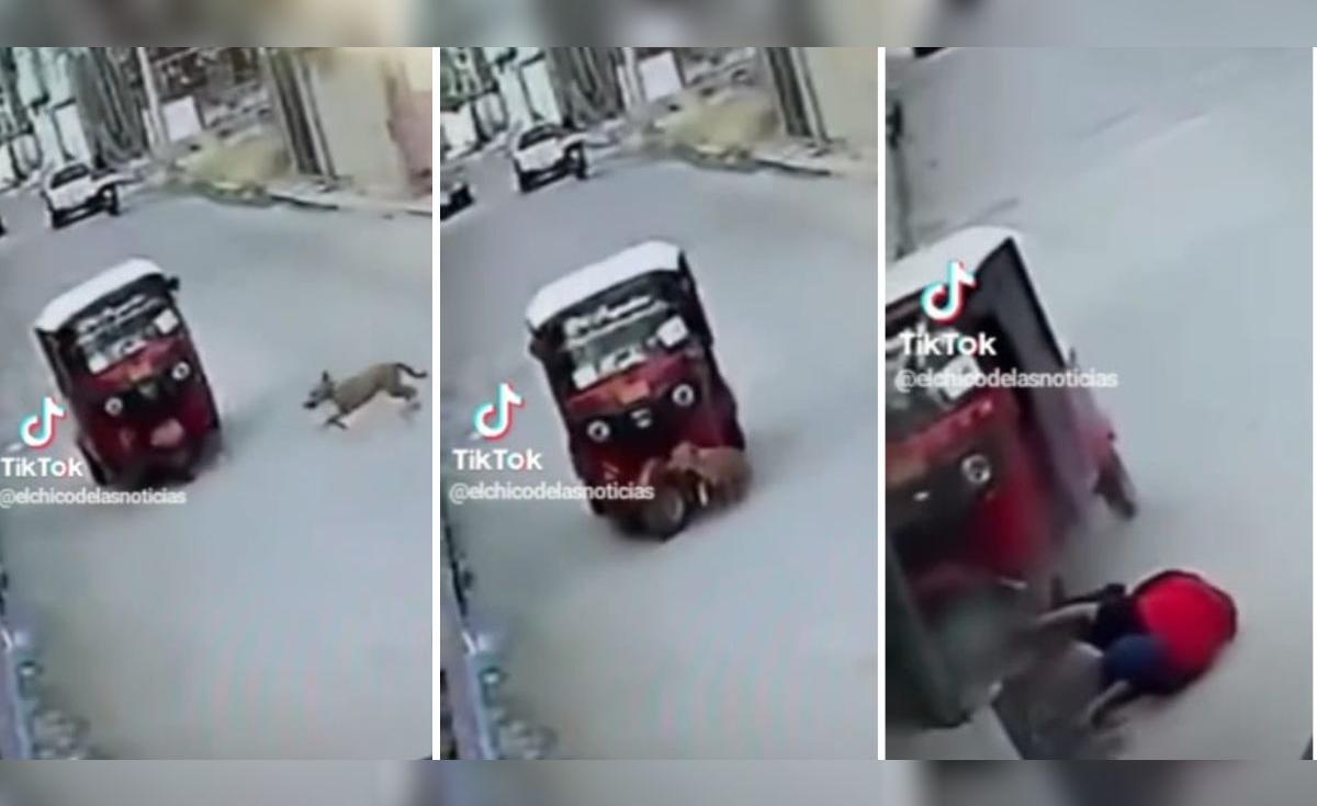 TikTok viral | Perro choca con una mototaxi y conductor sale volando ...