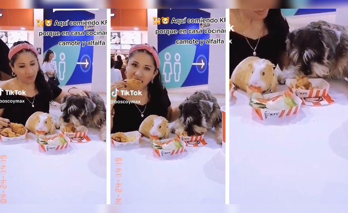 TikTok: viral | Video | Joven lleva a su perro y su cuy a comer a KFC ...
