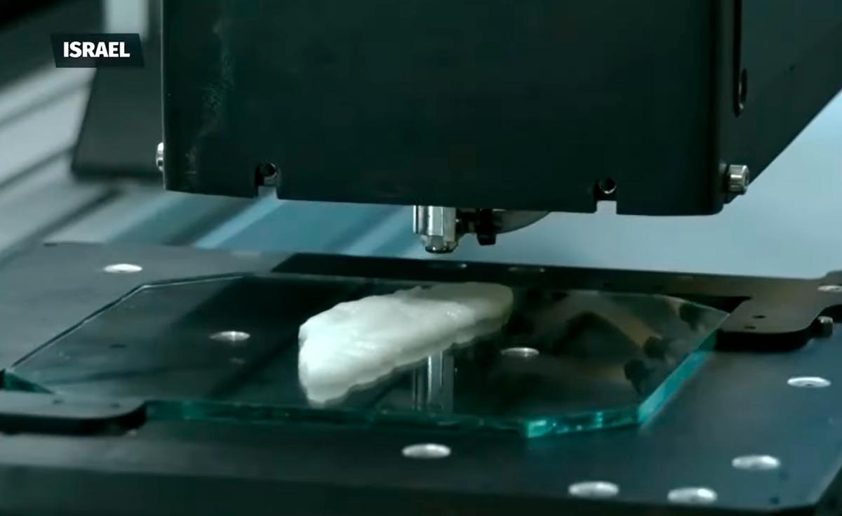 Compañía israelí crea el primer pescado comestible impreso en 3D | pez ...
