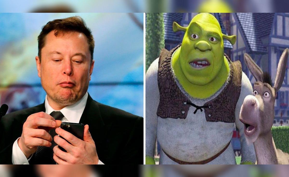 Trolean a Elon Musk: anuncia que Twitter acepta videos de 2 horas, y ...
