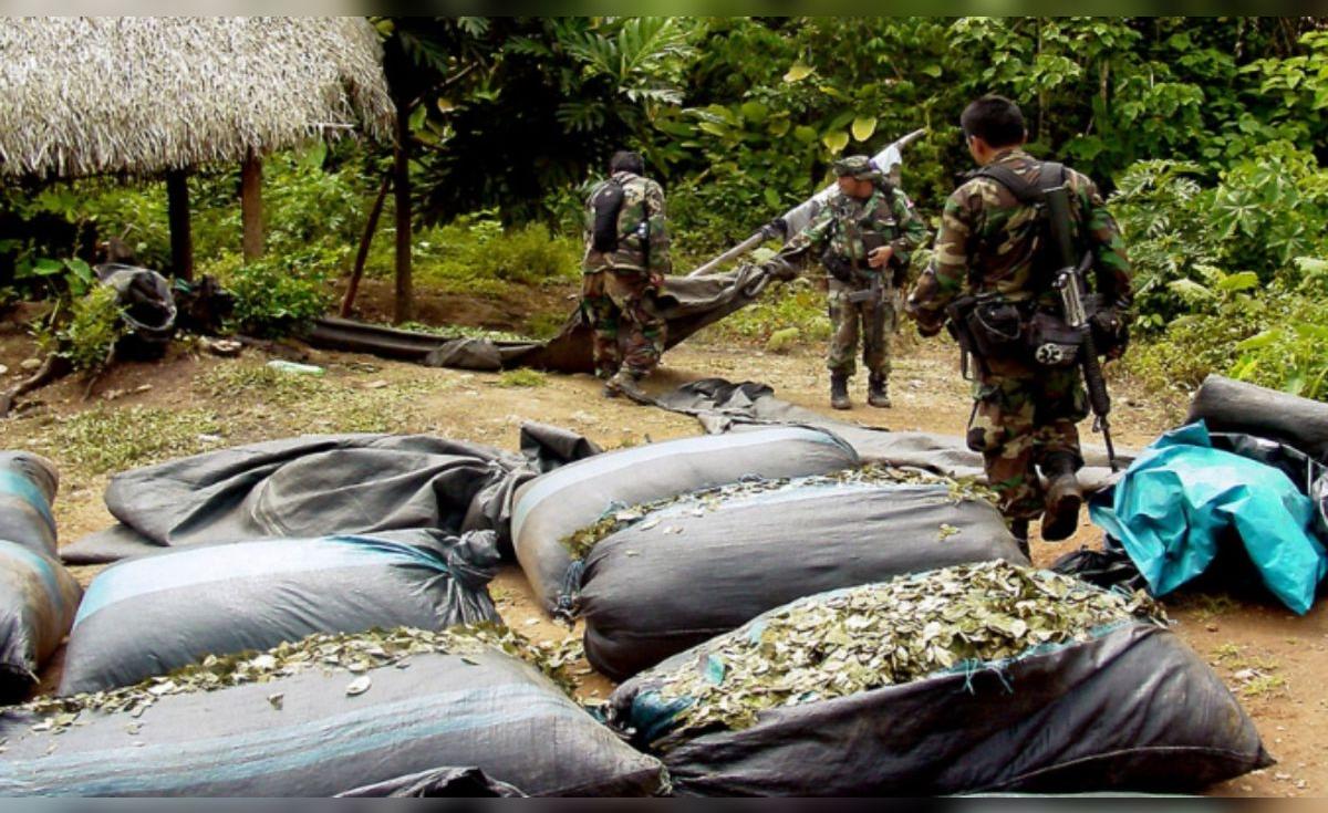 Narcotráfico En Perú Proyecto Internacional Revela Las Redes