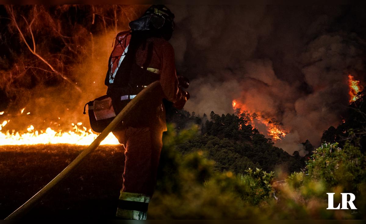 Incendio forestal en Tenerife: España declara zona de catástrofe por ...