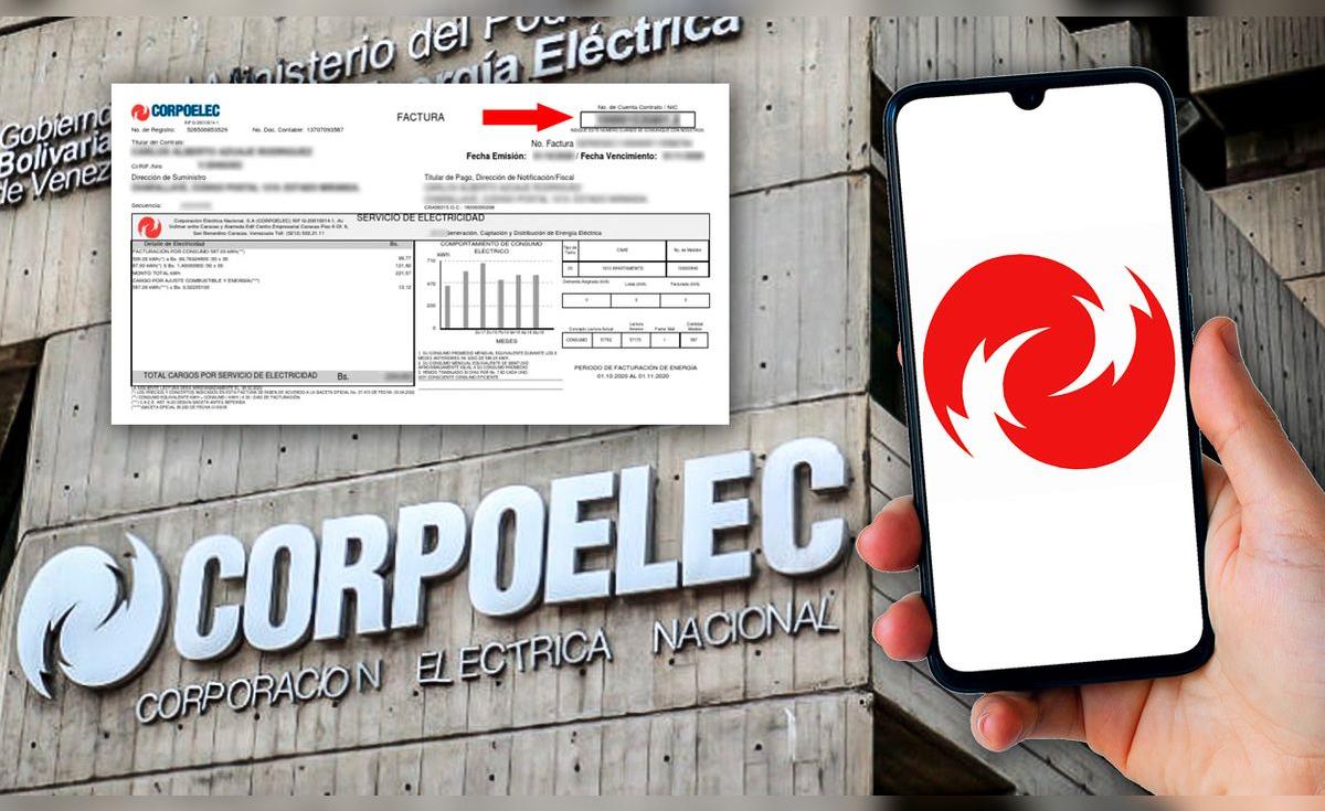 Factura Corpoelec 2023: guía rápida para revisar tu saldo EN LÍNEA con ...