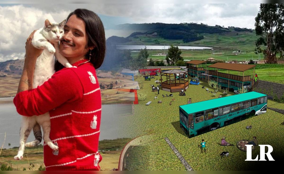 Señor Mishi Wasi y su famoso albergue para gatitos en el Valle Sagrado ...