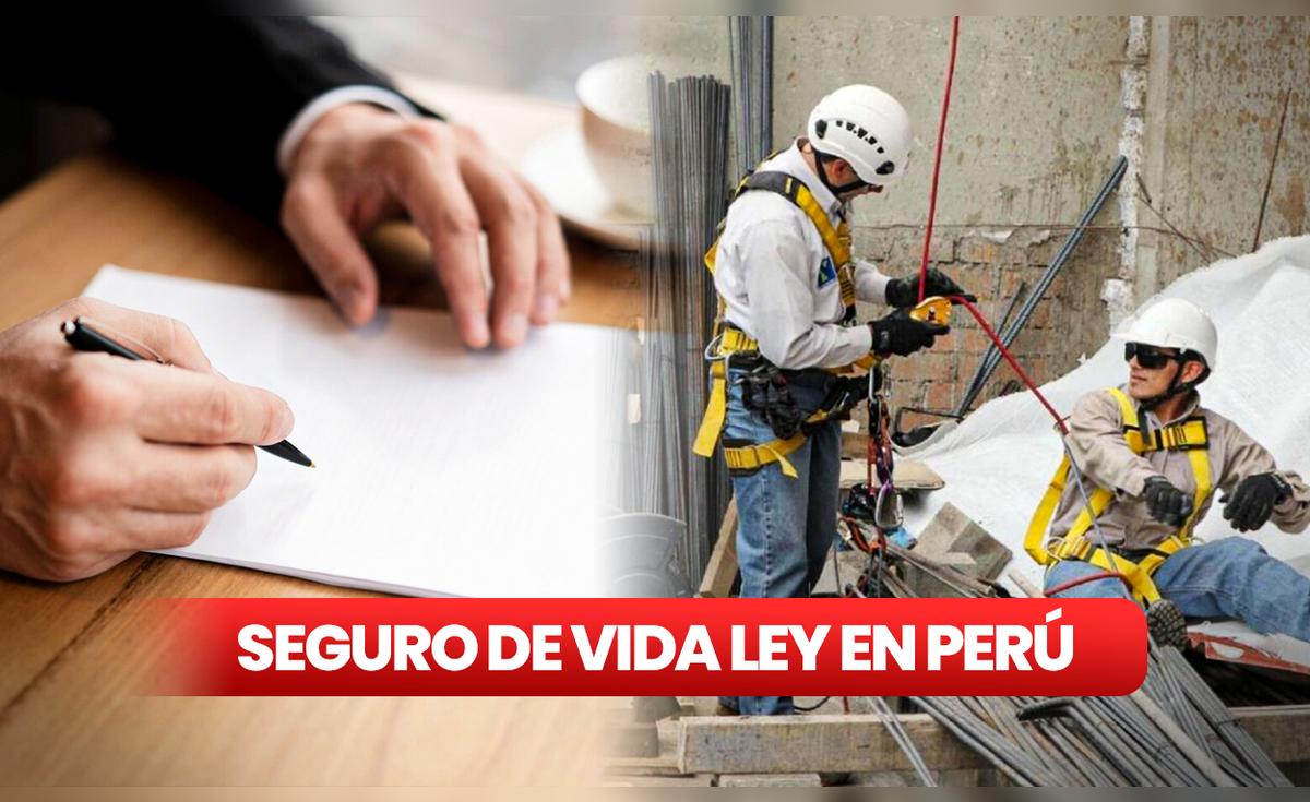 Seguro vida Ley Perú 2024: ¿qué beneficios otorga y cuáles son las sanciones en caso de ...