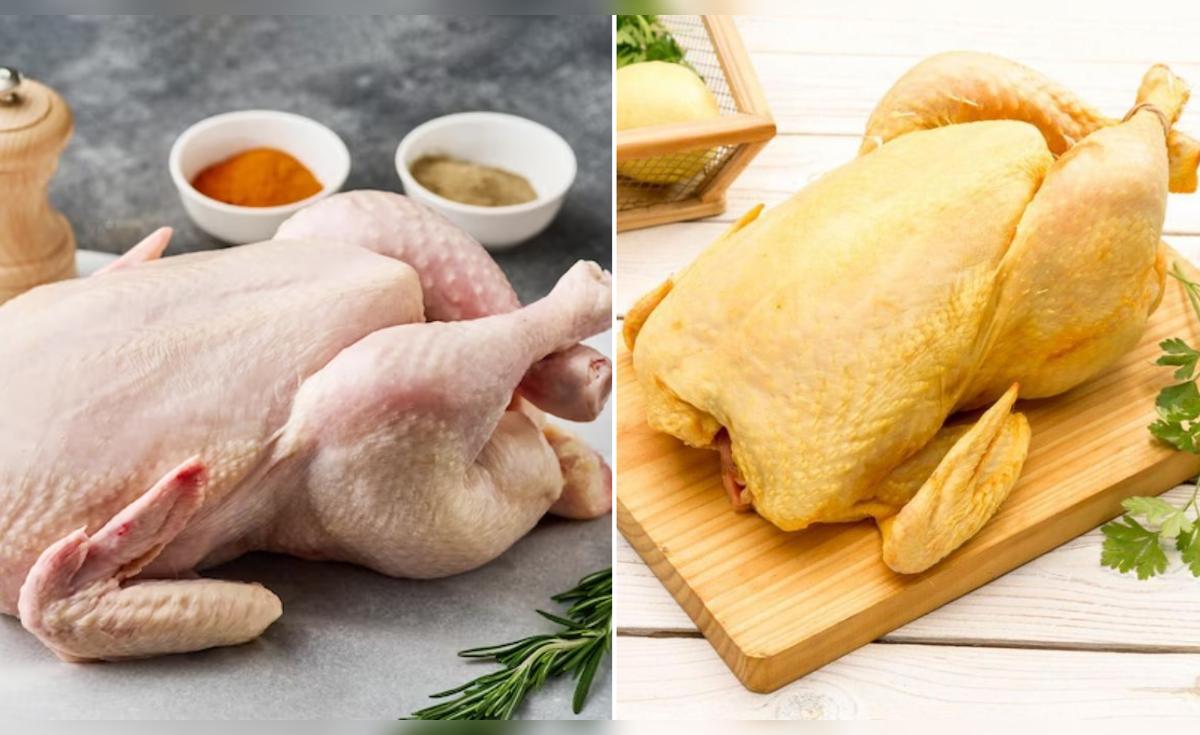 ¿Pollos blancos o amarillos?: conoce en qué se diferencian y cuál sería ...