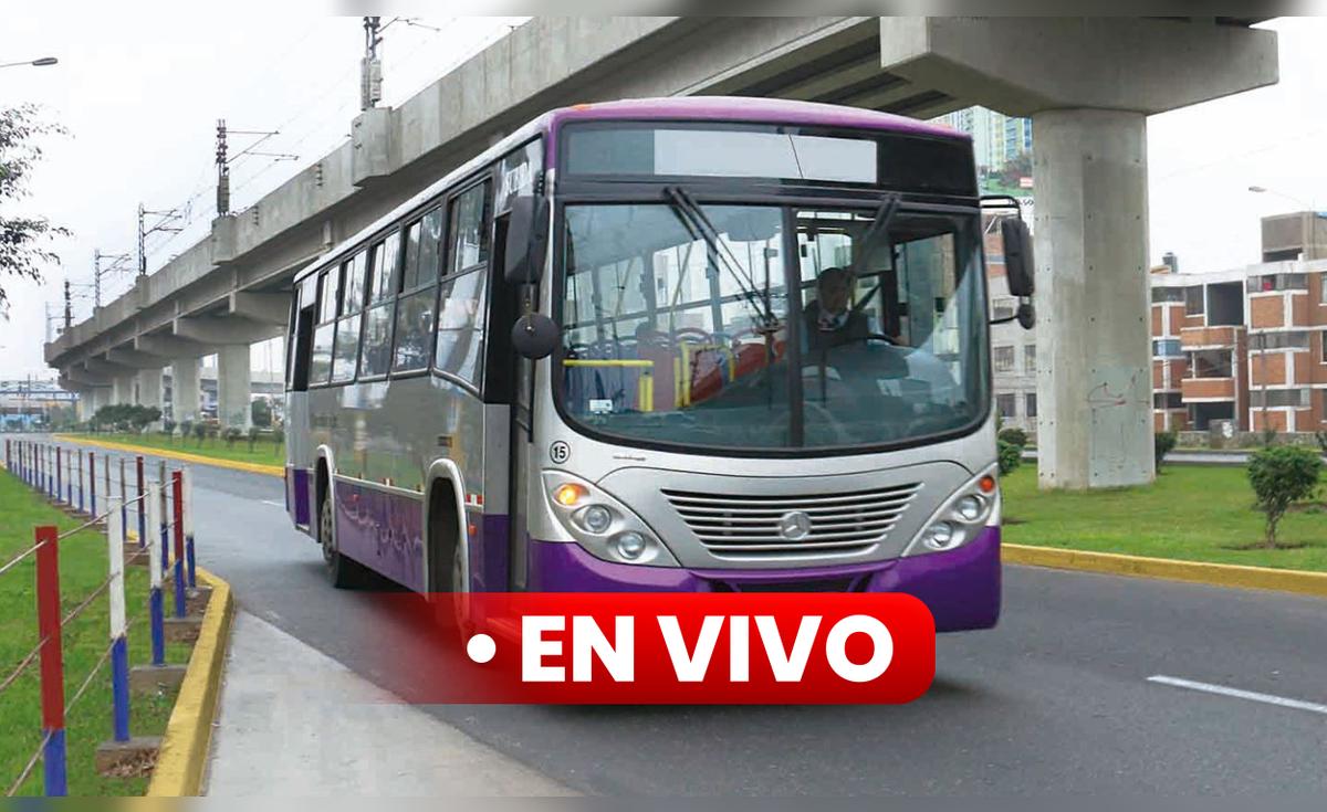 Corredor Morado deja de funcionar EN VIVO: nuevas rutas, horarios y ...