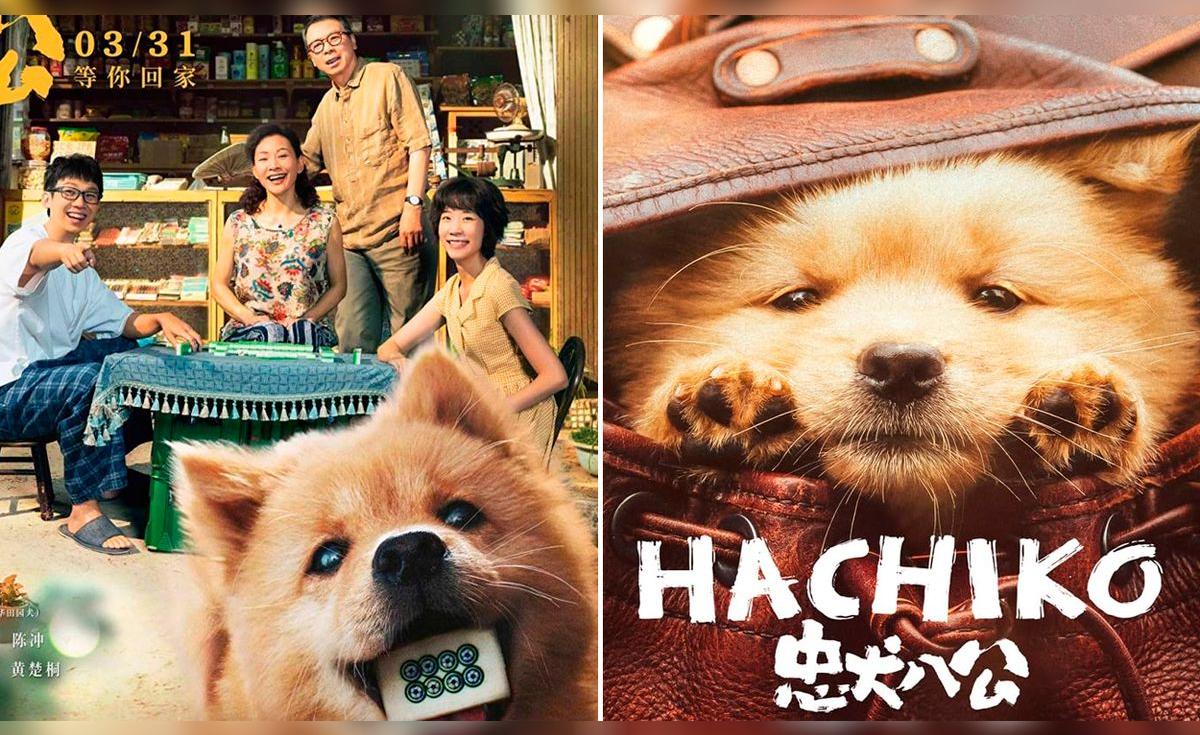 ‘Hachiko 2’: fecha de estreno, sinopsis, tráiler y más sobre la secuela del perro ‘más fiel del ...