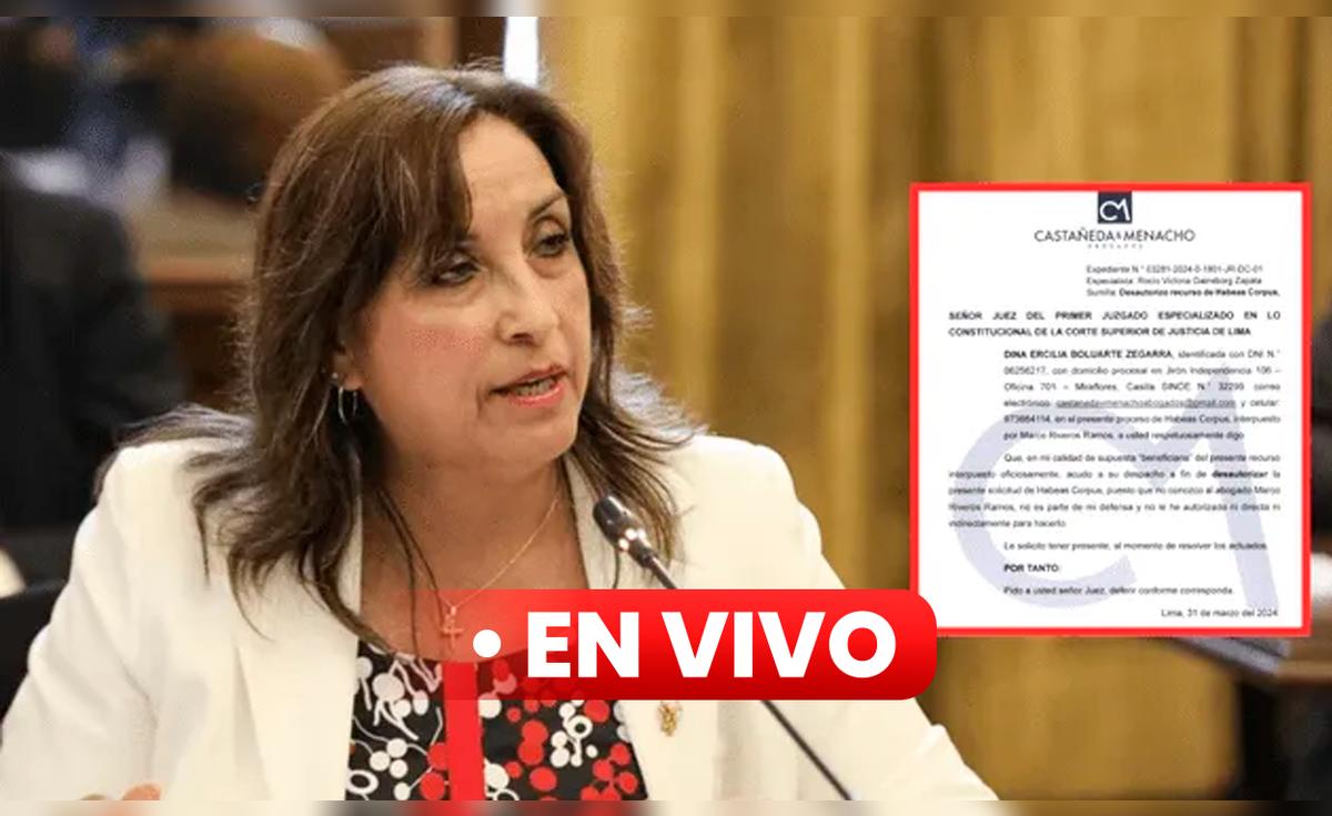 Dina Boluarte y caso Rolex [EN VIVO]: presidenta toma juramento a 3 ...