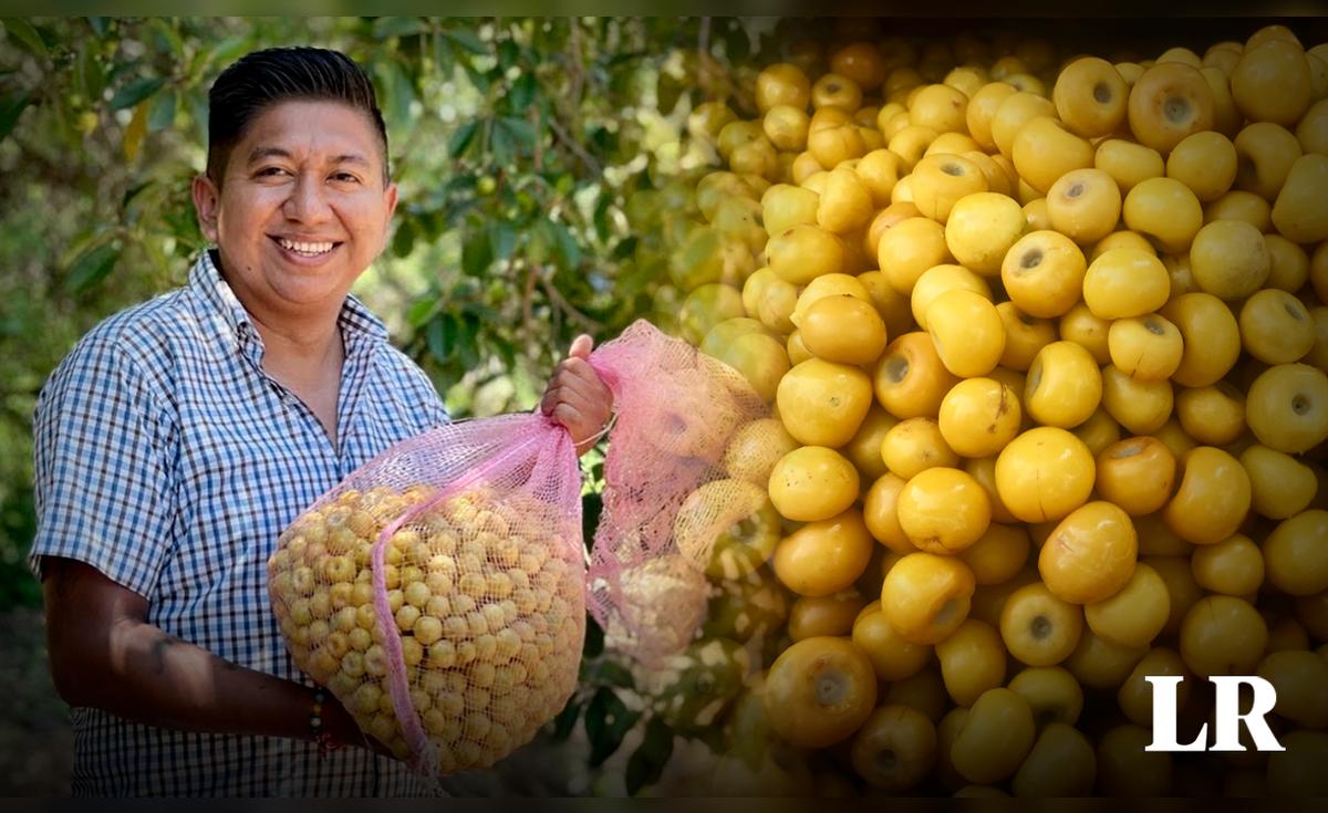 La maravillosa fruta con alta dosis de colágeno: evita el ...