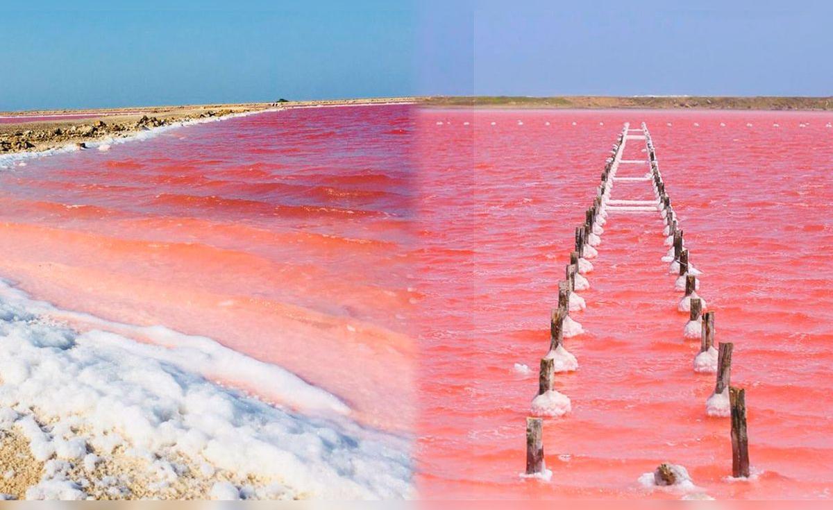 Colombia tiene el ÚNICO mar rosado en el Caribe: conoce dónde queda y ...