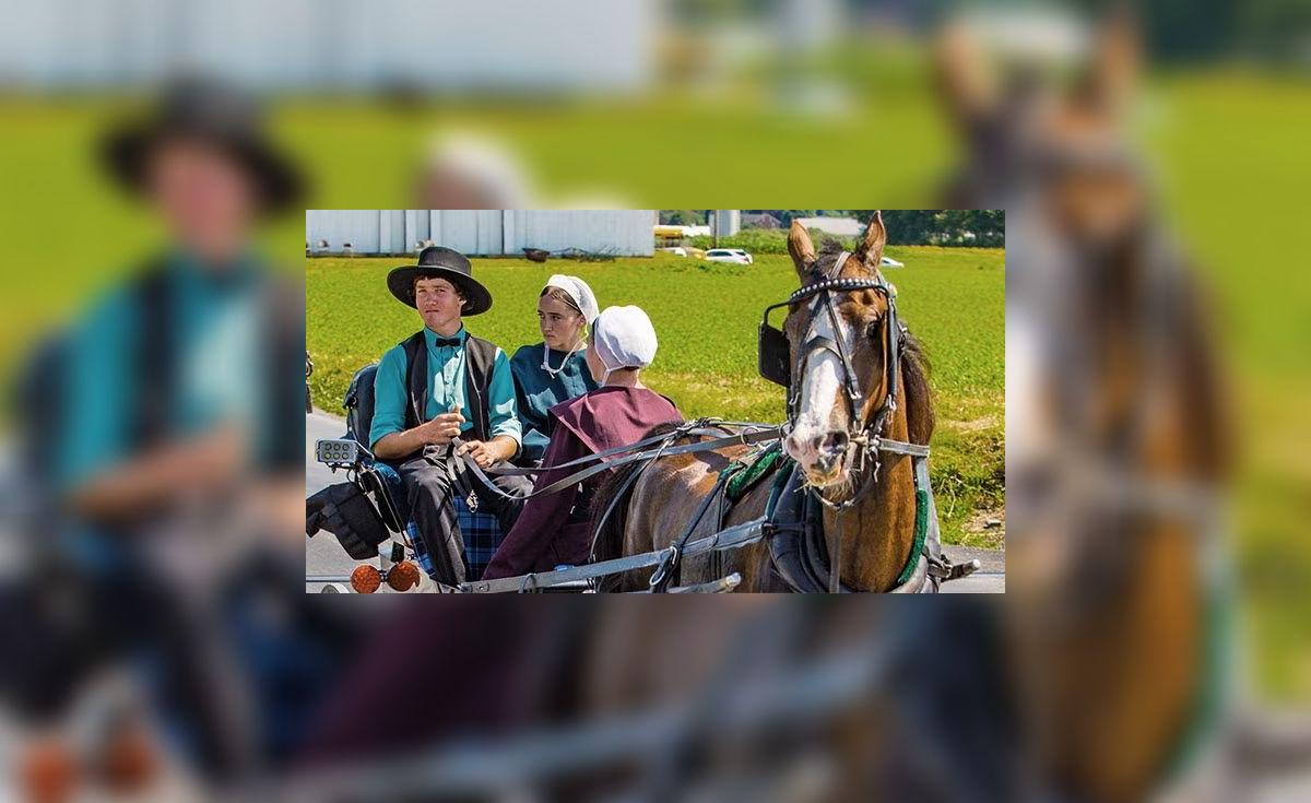 Amish de Pensilvania: viven y visten como hace 300 años dicha comunidad ...