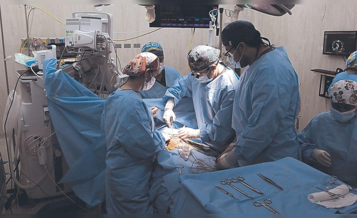 Una alternativa para pacientes cardiacos | enfermedades ...