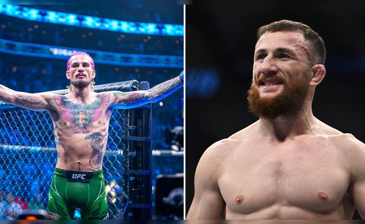 Resultado UFC 306 Sean O Malley vs Merab Dvalishvili, En Vivo: quién ...
