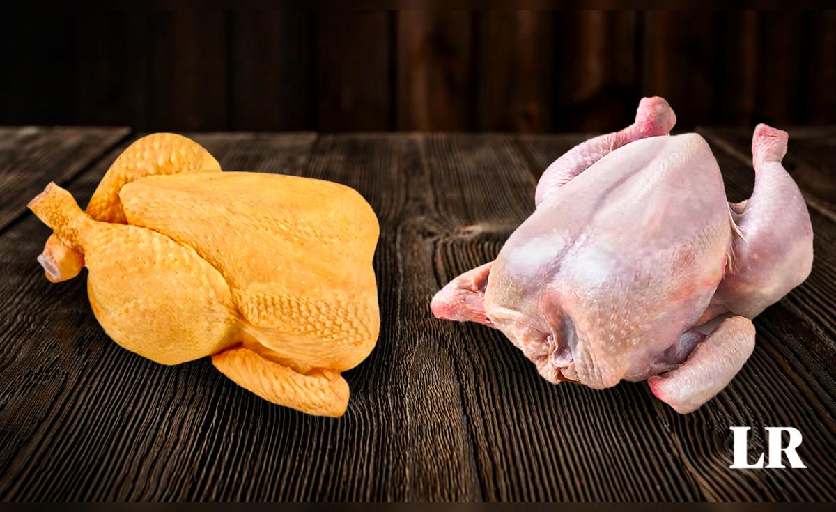 ¿Pollo amarillo o blanco?, ¿cuál es el más saludable? Esta es la ...
