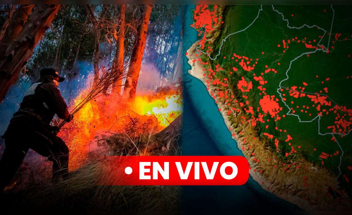 Incendios forestales Perú 2024 EN VIVO: Indeci reporta 20 fallecidos y ...