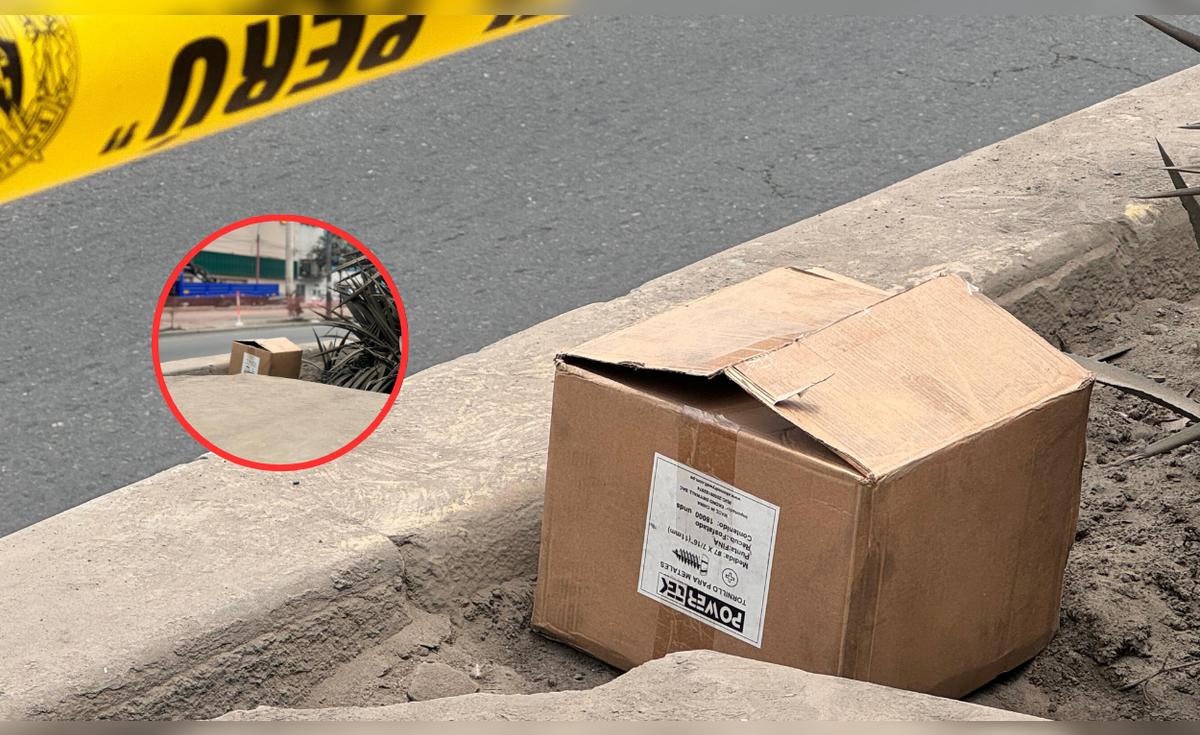 Indignante hallazgo en Comas: encuentran feto en berma de la avenida Túpac Amaru | Aborto | PNP ...