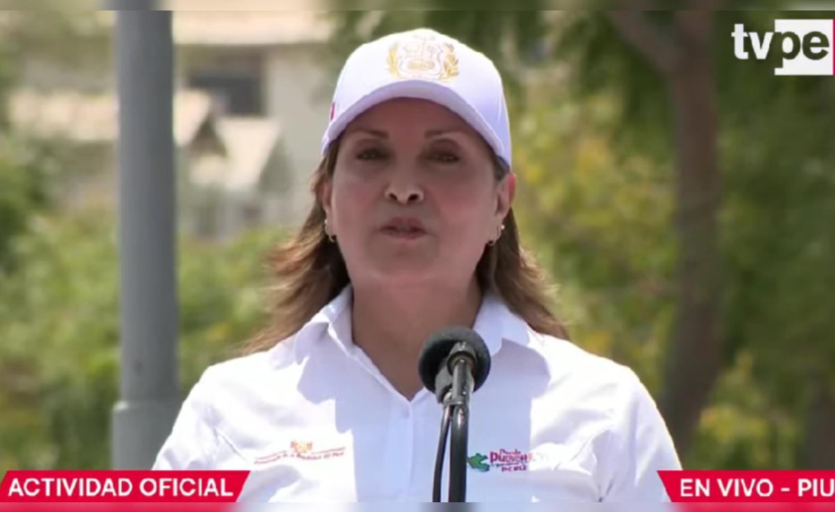 Presidenta Dina Boluarte sobre la delincuencia: “El que delinque es ...