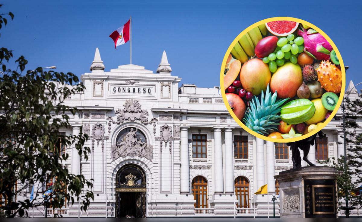 Comisión del Congreso aprueba dictamen contra etiquetado engañoso en bebidas que usen frutas en ...