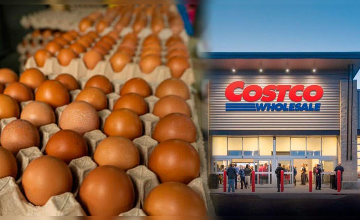 ¡alerta Máxima En Estados Unidos La Fda Retira Huevos Vendidos En
