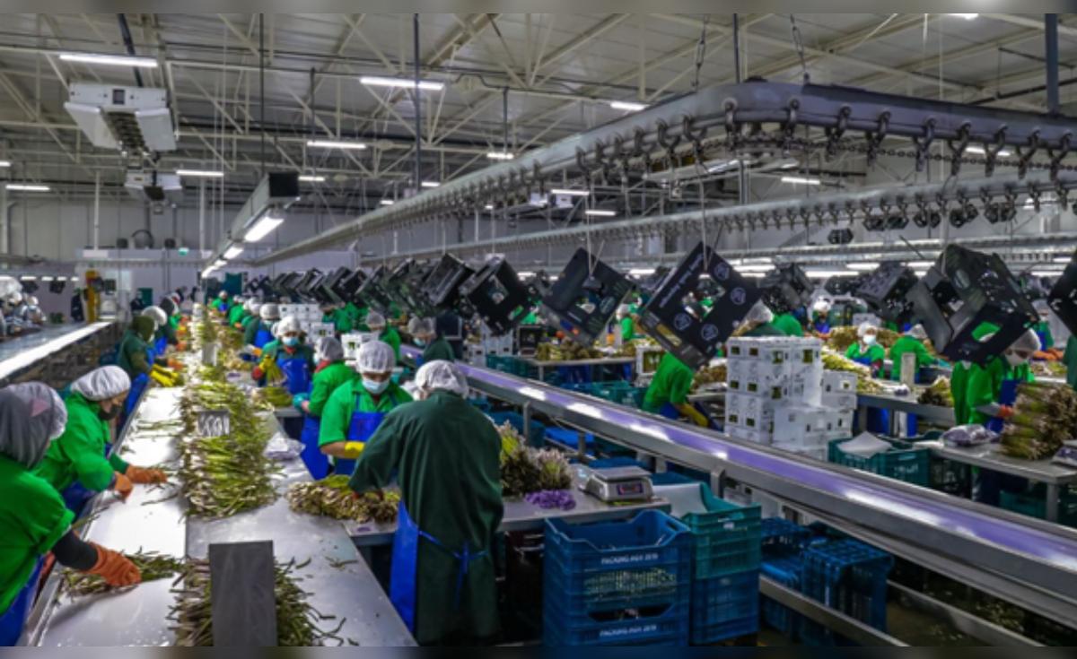 Proyecto Olmos: impacto de la obra que convirtió a Lambayeque en un eje ...