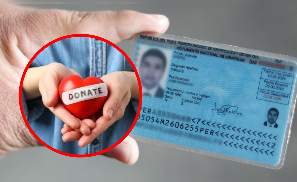 Donantes de órganos del Perú pueden acceder a este beneficio especial ...