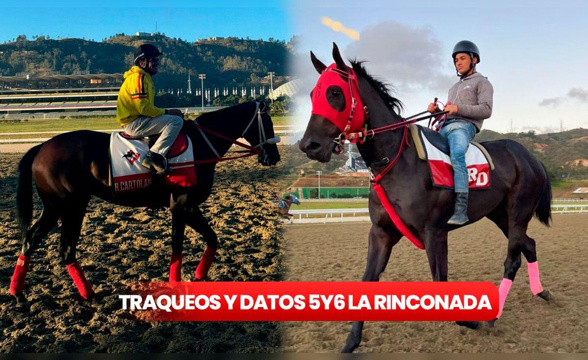 Traqueos y datos 5y6 La Rinconada HOY, 26 de enero: pronósticos fijos ...
