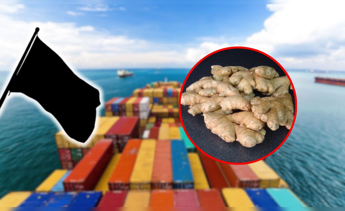 Perú es el tercer exportador de jengibre (kion) en el mundo: el 95% de ...