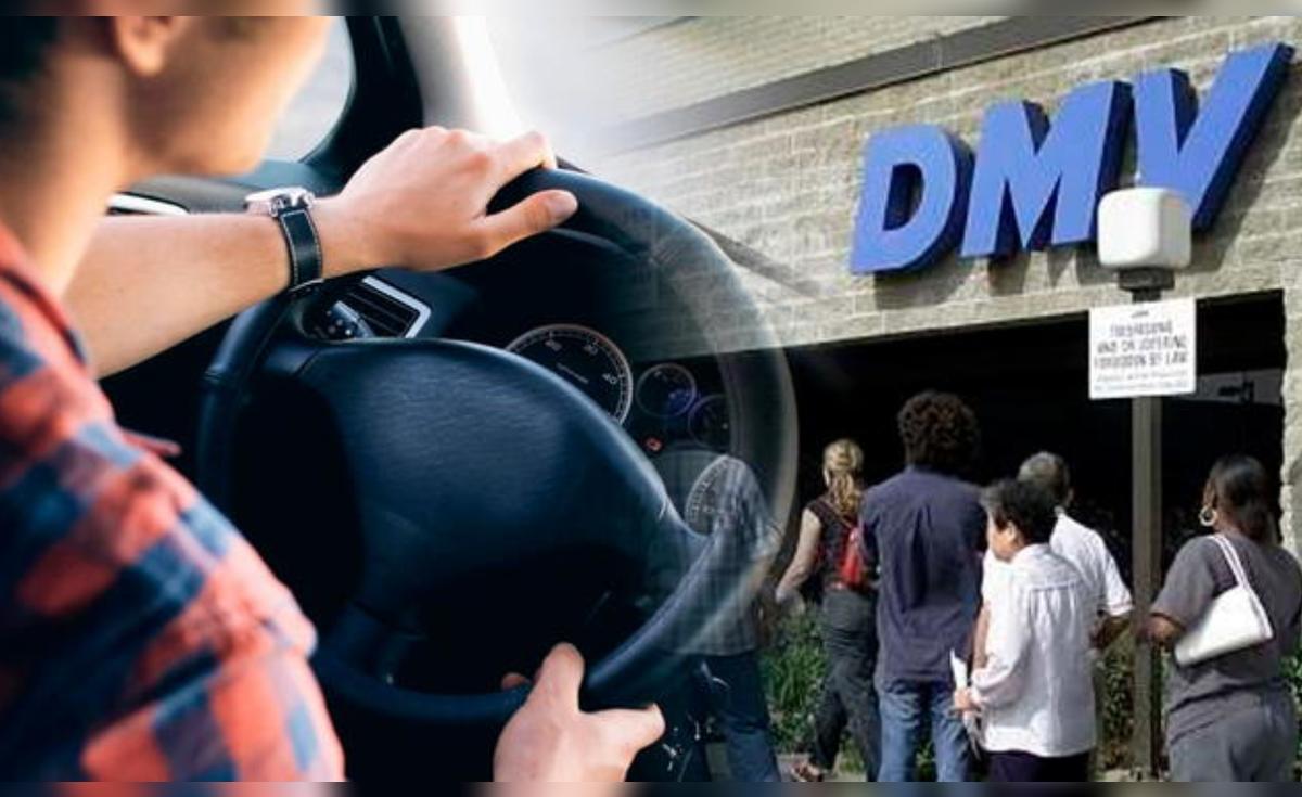 DMV en Illinois: Chicago Auto Show 2025 ofrecerá REAL ID, licencias de ...