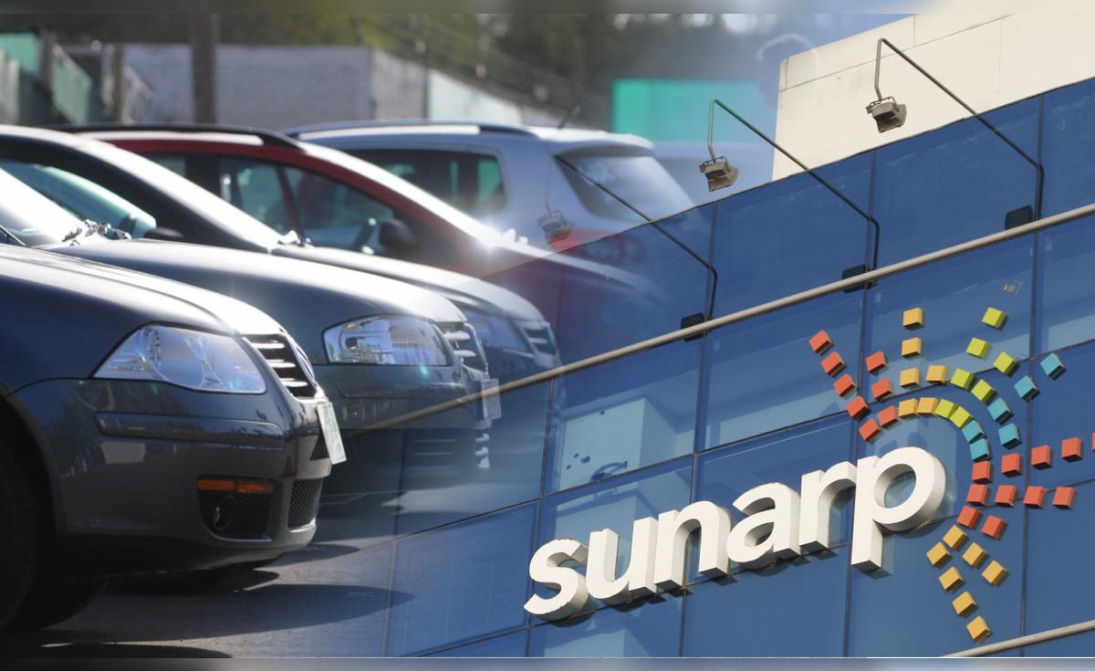 ¿Cómo realizar una consulta vehicular gratuita solo con la placa del ...