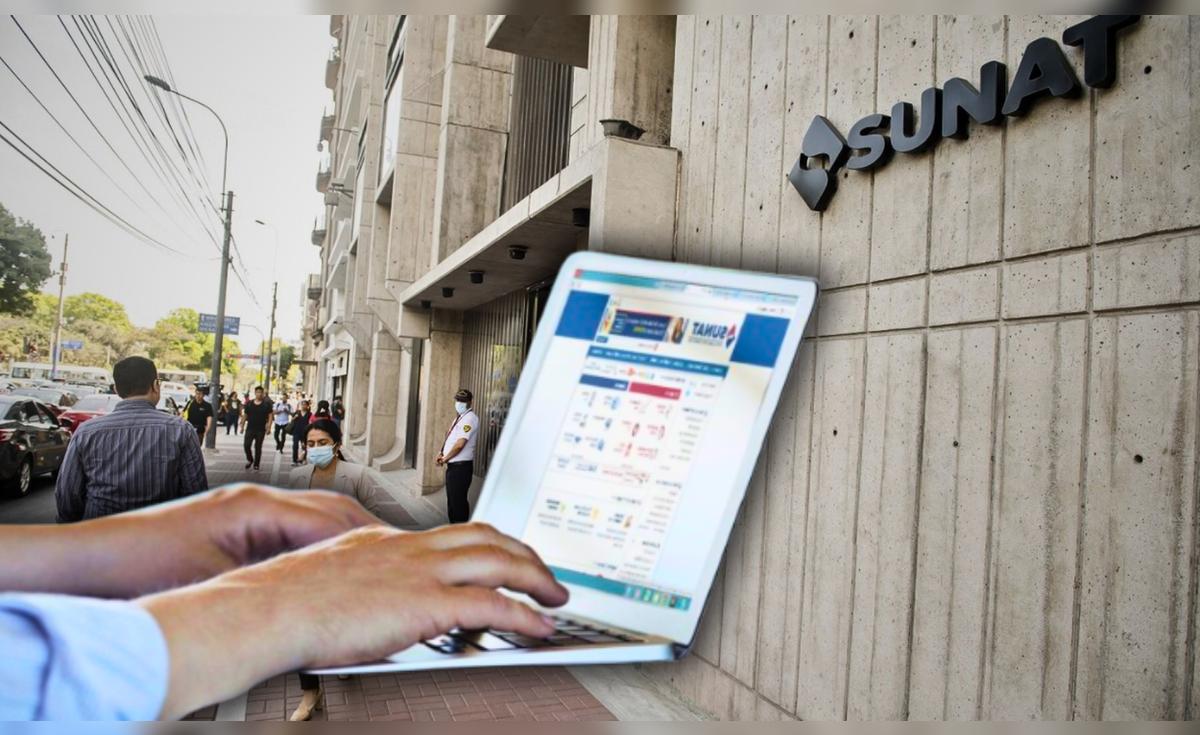 Cómo saber mi RUC solo con DNI, según Sunat: guía paso a paso para ...