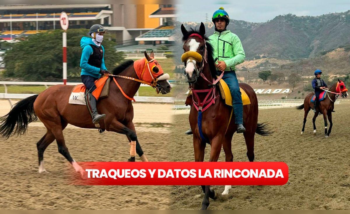 Traqueos y datos de última hora 5y6 La Rinconada EN VIVO HOY, 23 de febrero: pronósticos de ...