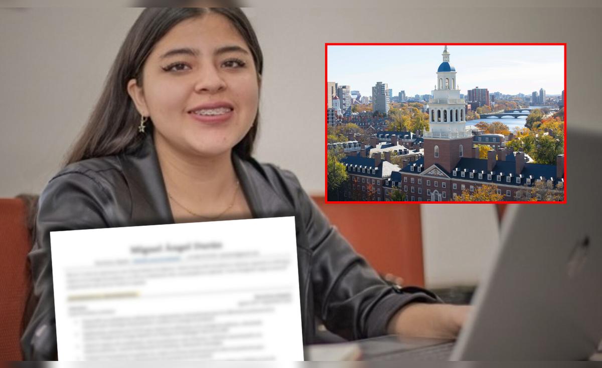 Aprende a hacer un CV formato Harvard: crea un currículum de alto ...