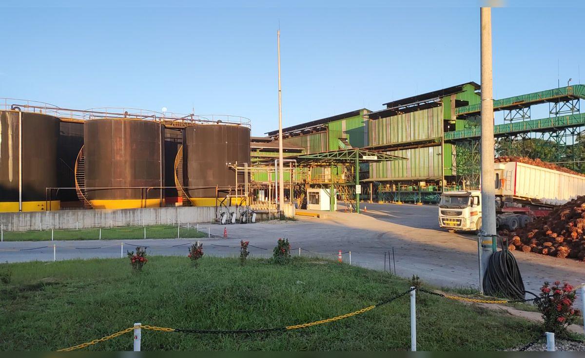 OEFA confirma que Palmicultora Ocho Sur cumple con normativas ...