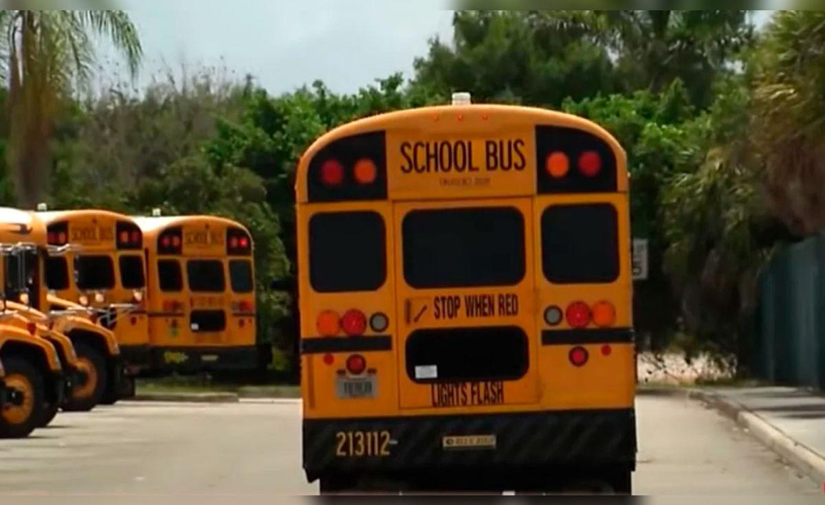 ¿Pasaste por un autobús escolar en Miami-Dade y te pusieron una multa ...