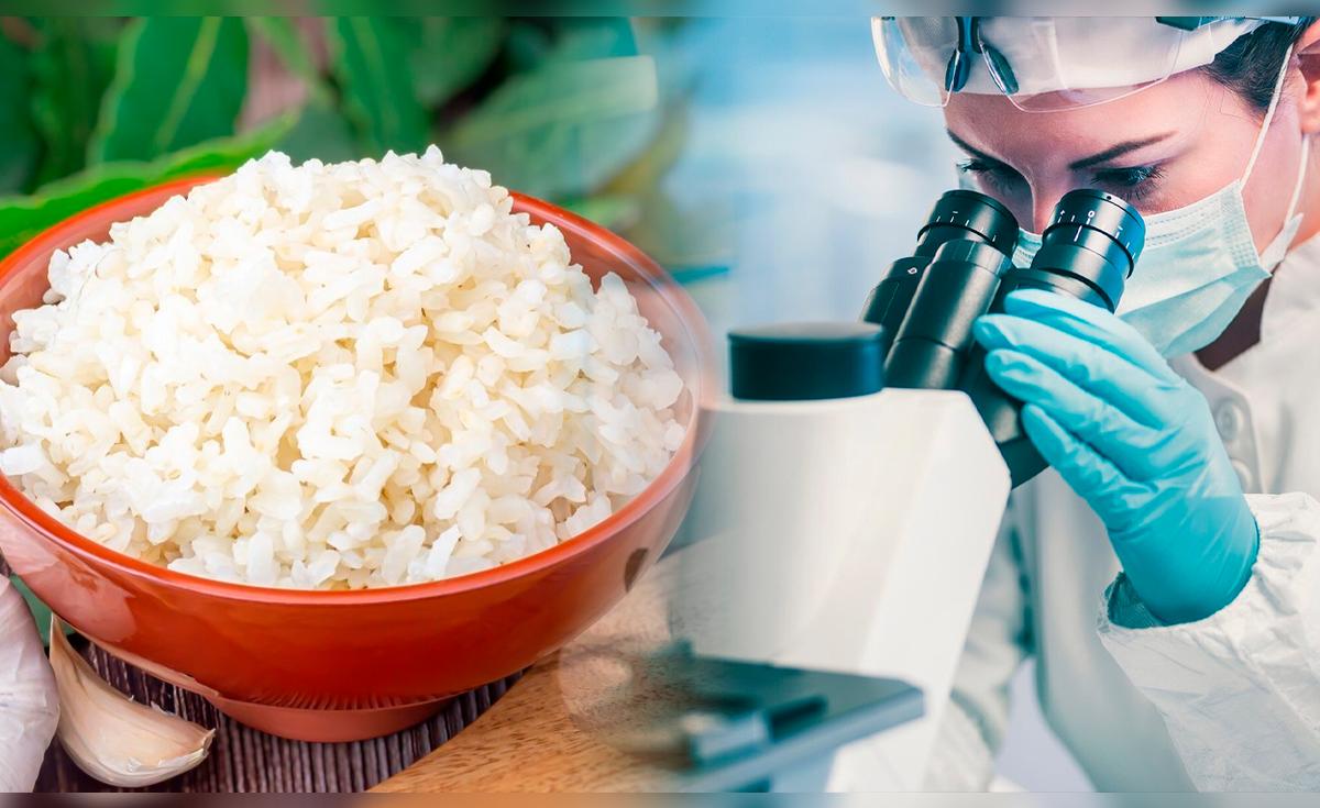 Ordenan retirar popular marca de arroz de los supermercados en España ...