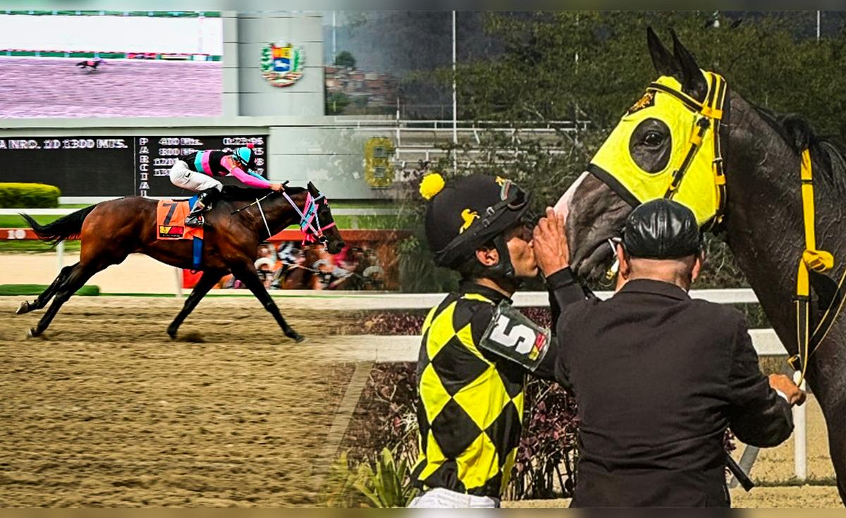 DATOS de última hora de La Rinconada HOY, domingo 6 de abril ...