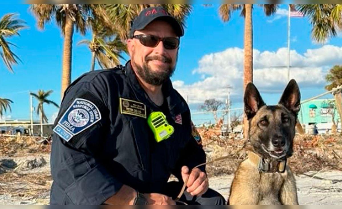 Héroe canino en California: El perro que fue abandonado en el desierto ...