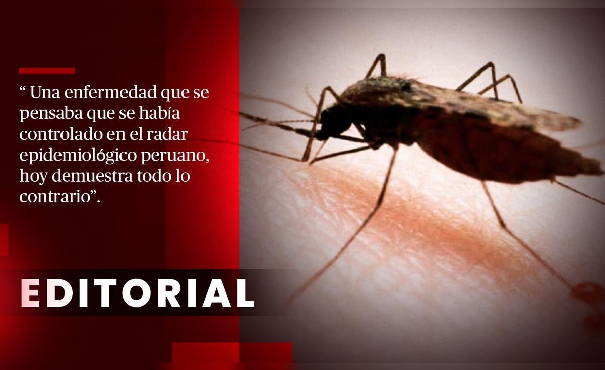 El alarmante rebrote mortal de la malaria en el Perú | Editorial ...