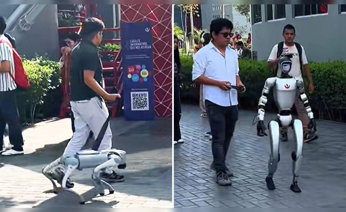 Universitario pasea su perro robot en la UPC y usuarios bromean: "Ni ...