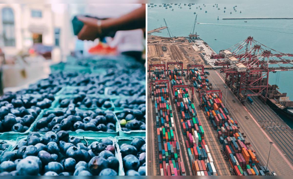 Agroexportaciones peruanas siguen creciendo en 2025: uvas y arándanos ...